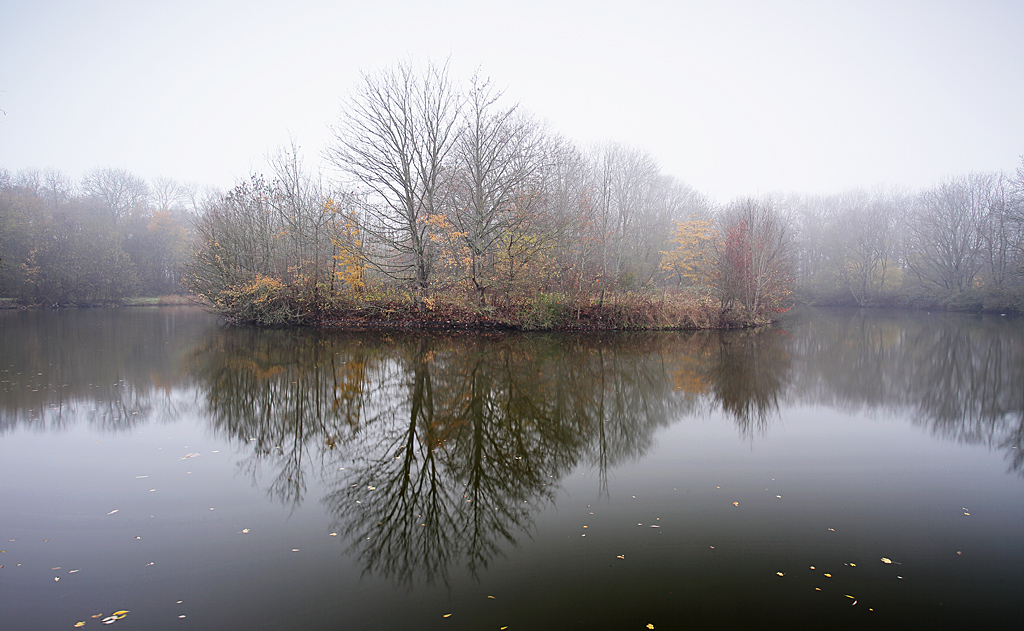 Nederpix.nl :: Nederpix.nl :: View nature picture - / Nevelige ochtend