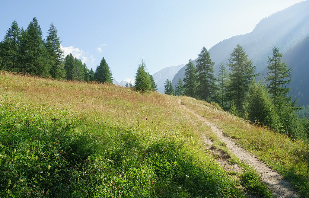 Nederpix.nl :: Nederpix.nl :: View nature picture - / Alpenweide Valle ...